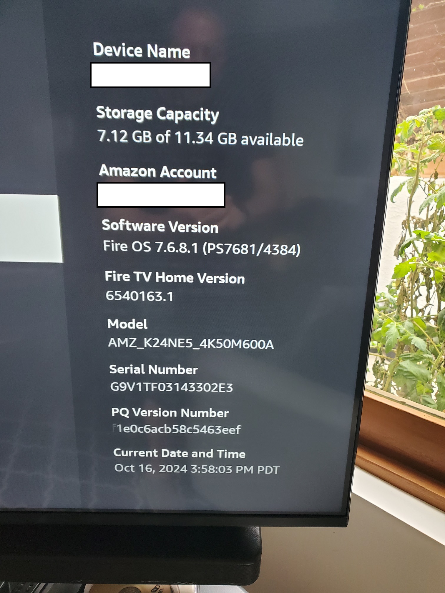 Fire TV mutes and then unmutes.